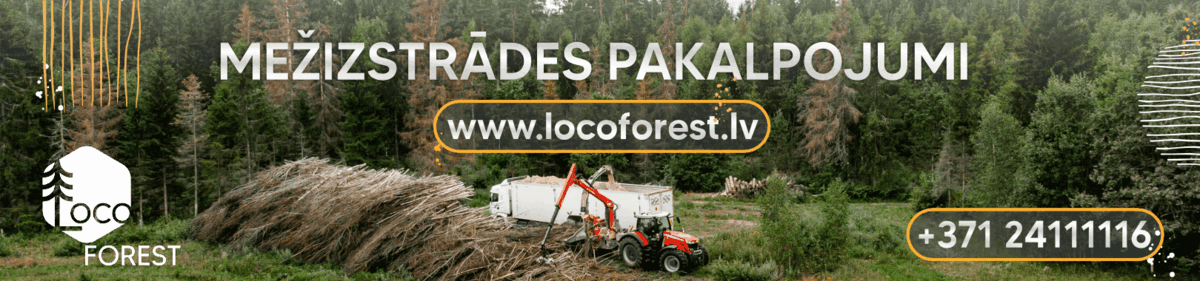 Timber Market